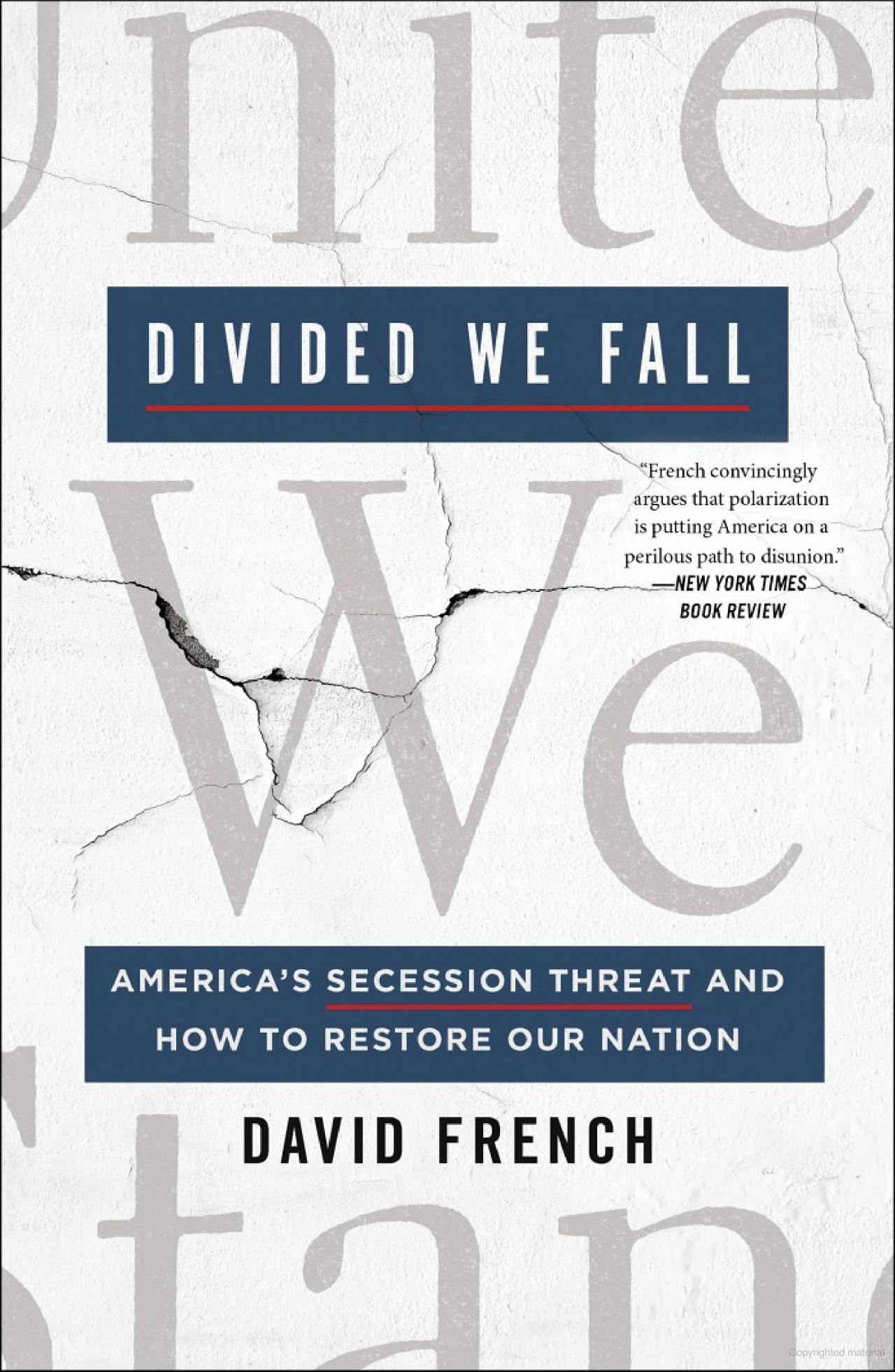 A Review of David French’s ‘Divided We Fall’ – The Trumplandia Report